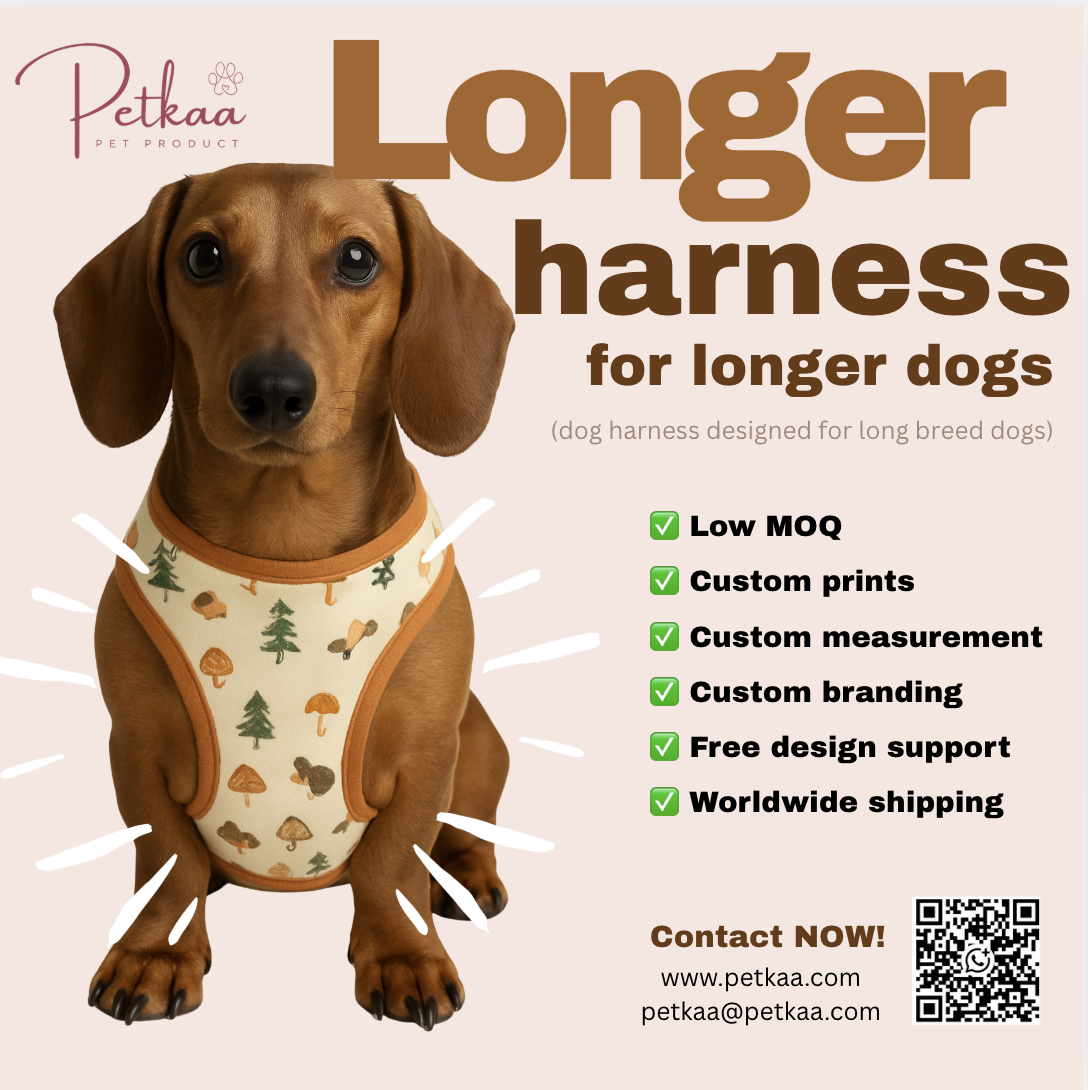 Why It’s Essential to Design Special Dog Harnesses for Long-Body Breeds ...