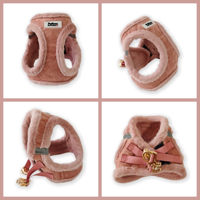 Pet Harness Design Trends for 2026: What Leading Pet Brands Are ...